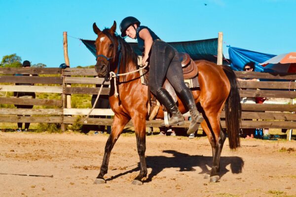 Aprende ahora como domar un caballo por Alwina Murawski