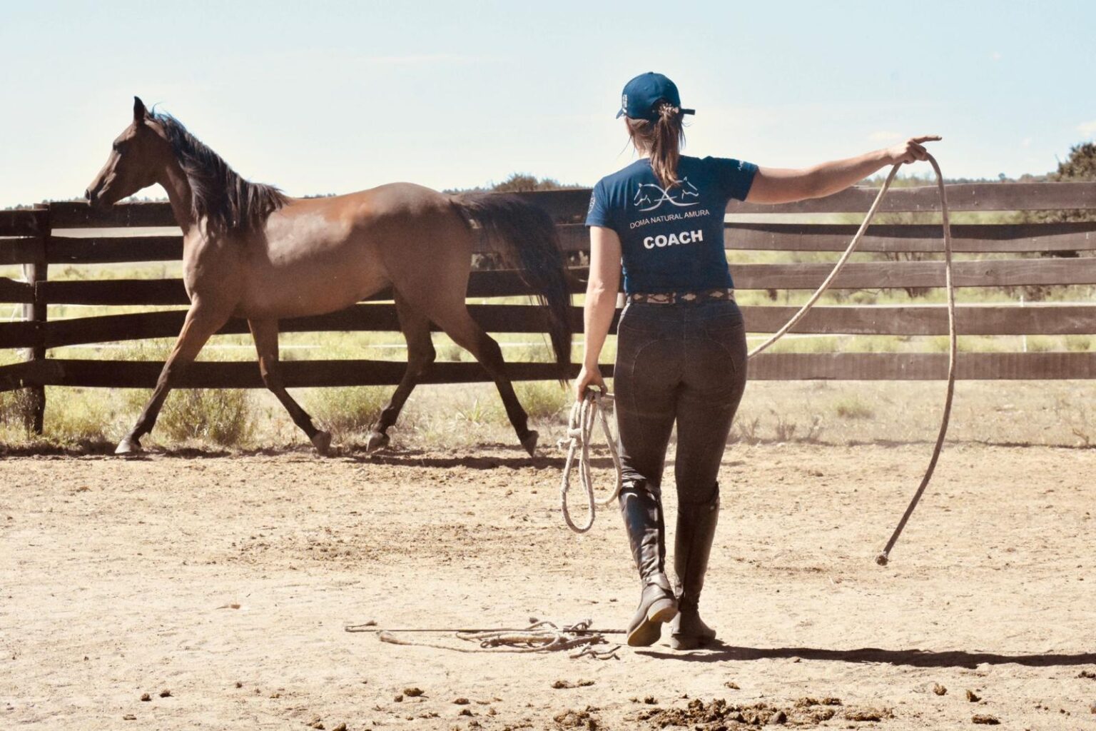 Aprende ahora como domar un caballo por Alwina Murawski