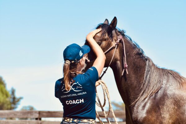 Aprende ahora como domar un caballo por Alwina Murawski