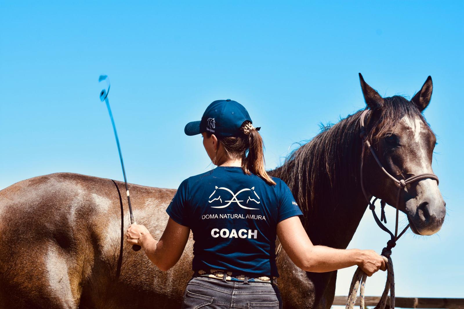 Aprende ahora como domar un caballo por Alwina Murawski